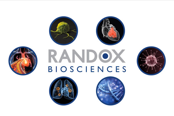 Randox Marketing Dashboard | Resources